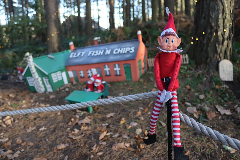 Enjoy Unforgettable Festive Celebrations at Beamish, The Living Museum ...