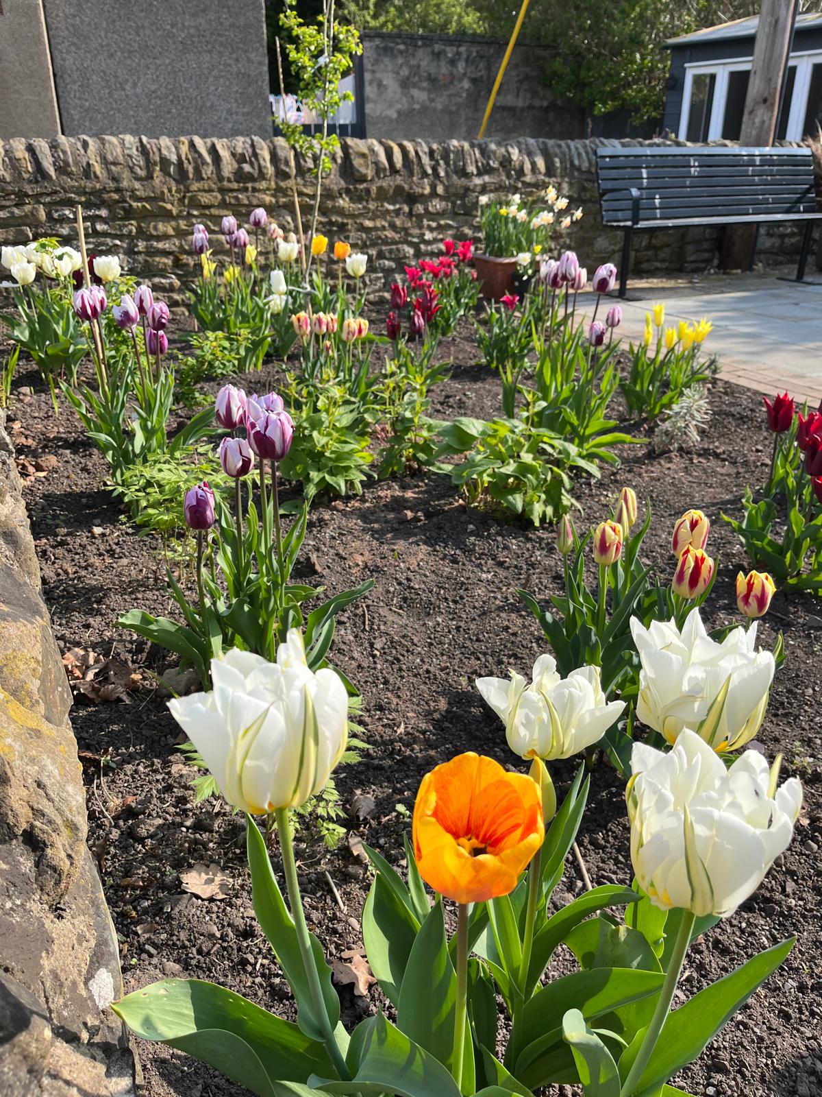 Making Frosterley Bloom | Weardale Gazette